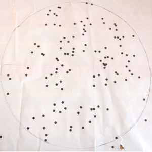 Testshot.net | How to pattern a shotgun and how to find the optimal ...